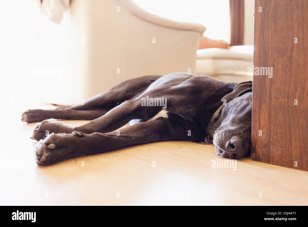 After a big walk hi-res stock photography and images - Alamy