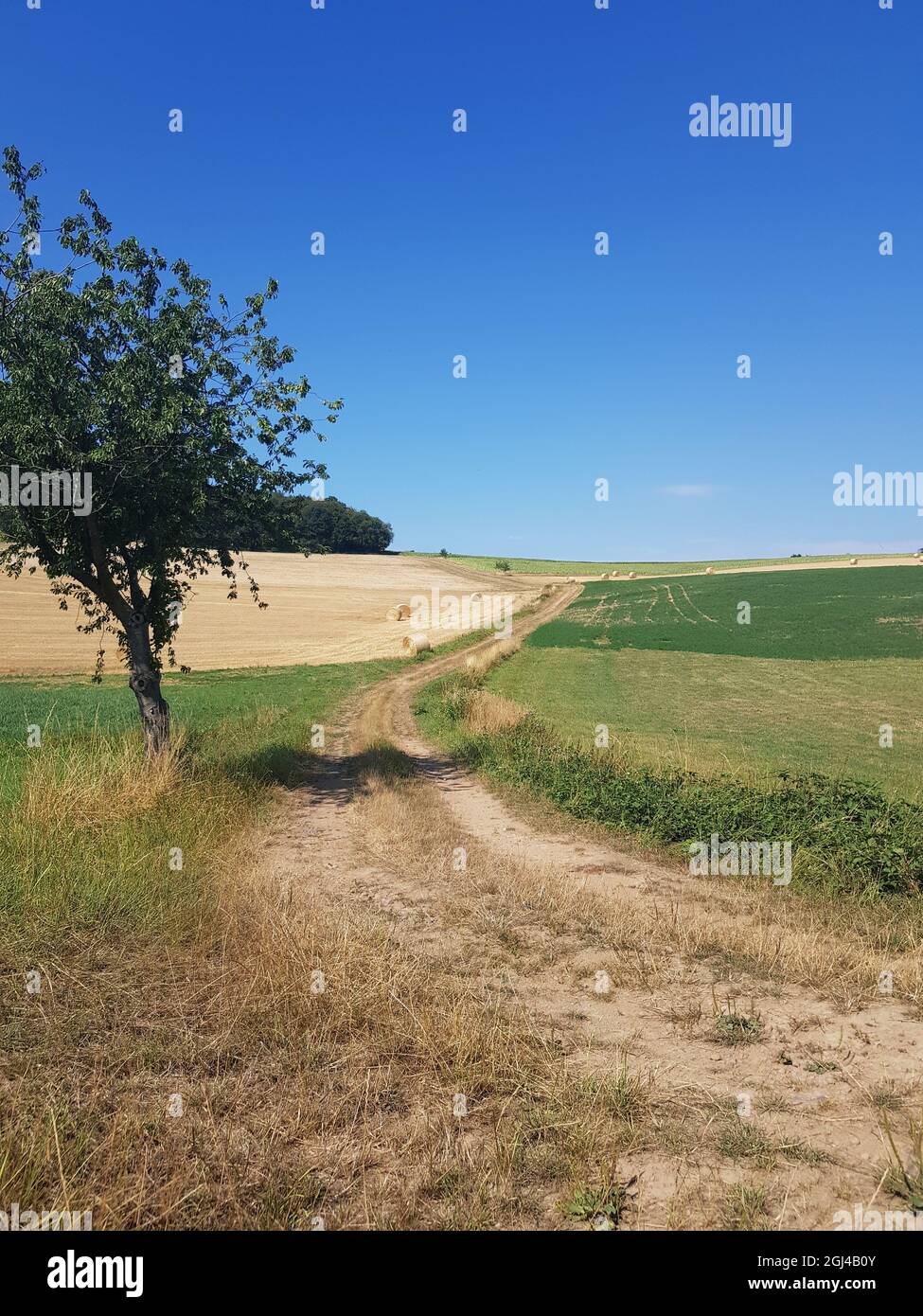 Landscaped sections hi-res stock photography and images - Alamy