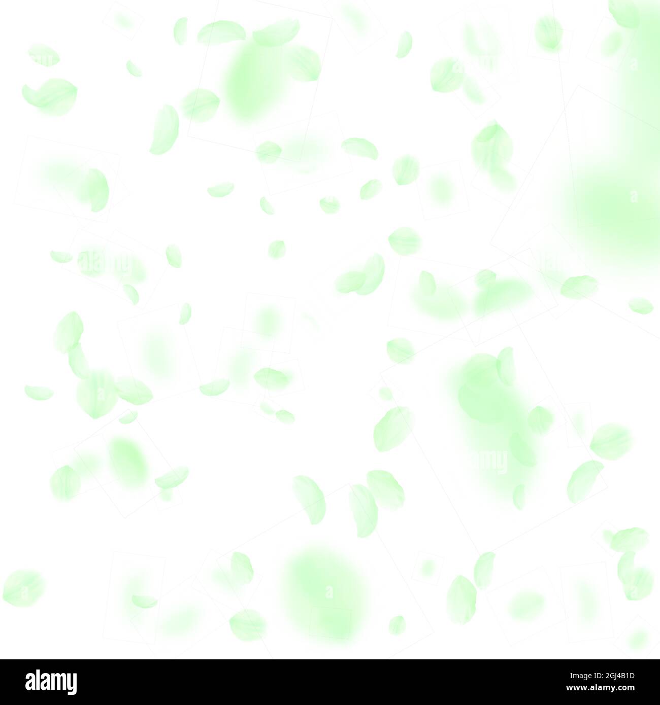 Green flower petals falling down. Emotional romantic flowers falling ...