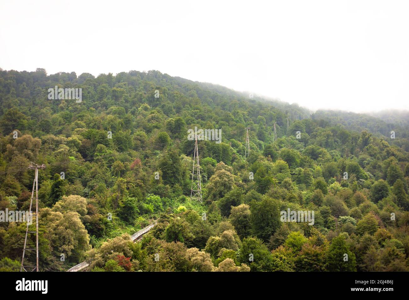 Chairlift towers in forest resort, cableway tower going up of the ...