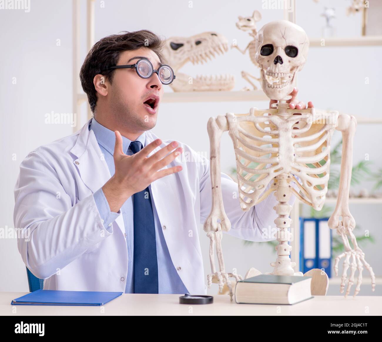 The crazy professor studying human skeleton Stock Photo - Alamy