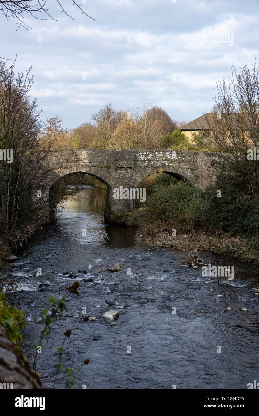 DUBLIN, IRELAND - Mar 04, 2021: A scenic shot of the Dublin Dartry Park ...