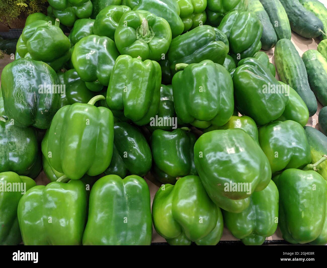Fresh green peppers for purchase at grocery store Stock Photo - Alamy