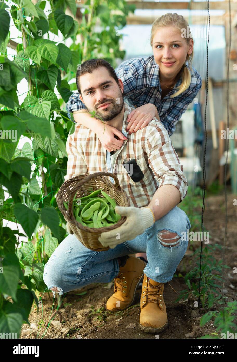 Broad beans man hi-res stock photography and images - Alamy