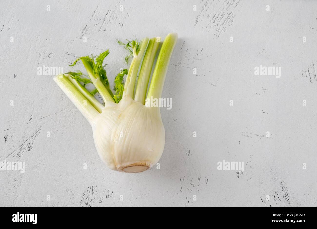 Fresh fennel bulb stem hi-res stock photography and images - Alamy