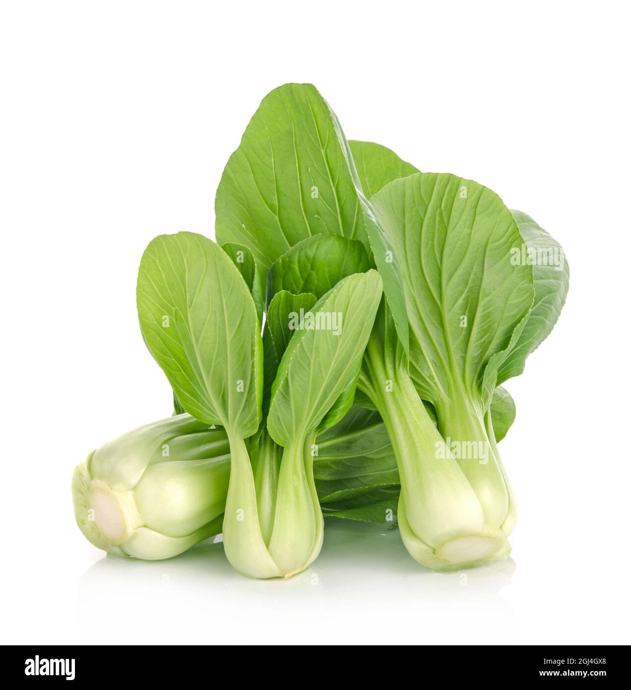 Bok choy (chinese cabbage) isolated on white background Stock Photo - Alamy