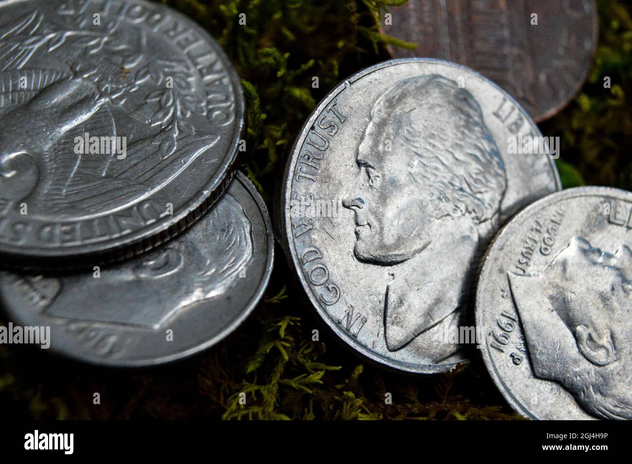 Closeup of a handful of quarters in a bed of moss Stock Photo - Alamy