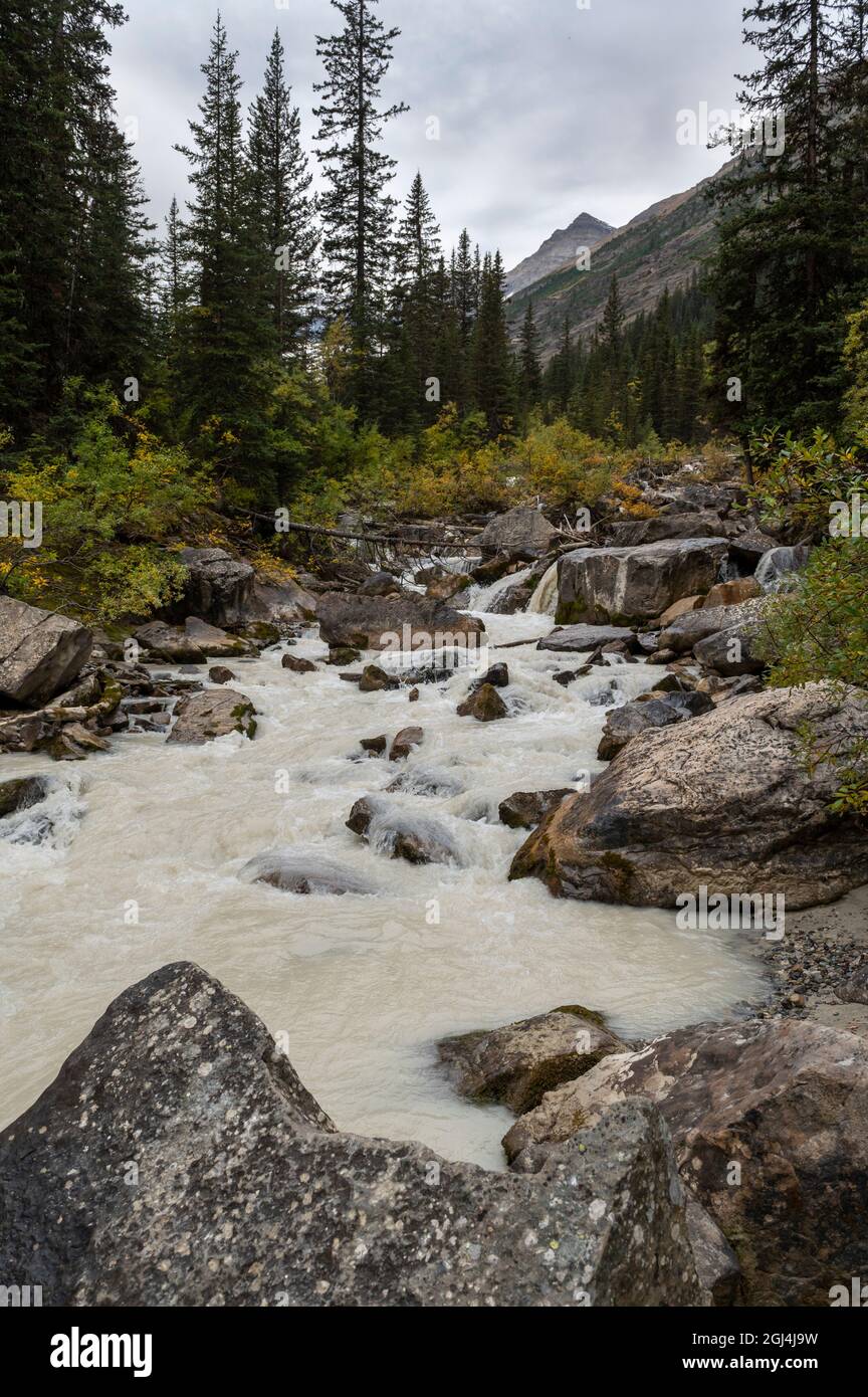 Meltwater stream flowing down valley from Plain of the Six Glaciers ...