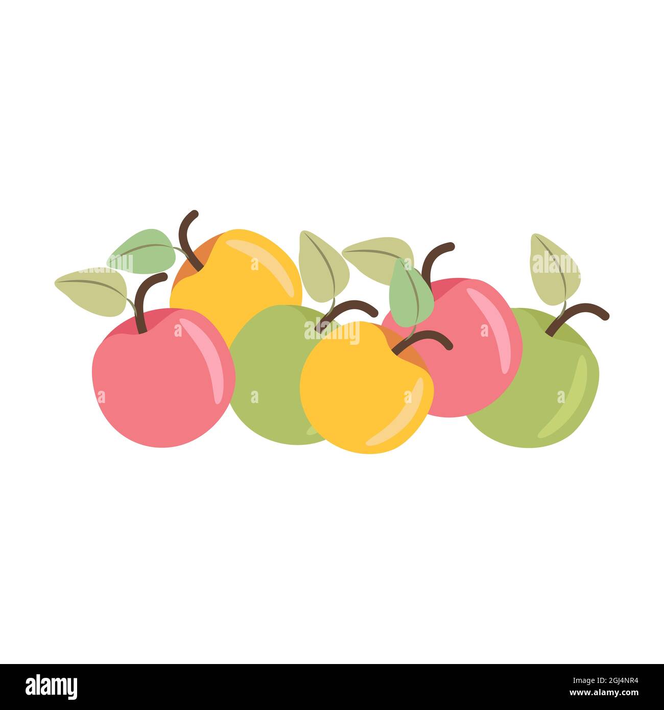 Bunch of colored apples, autumn harvest. Illustration in flat style ...