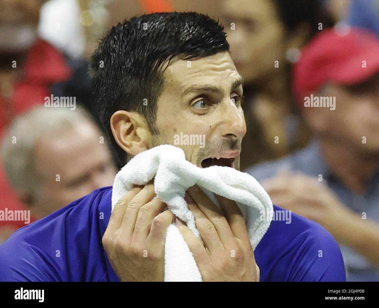 Novak djokovic players box hi-res stock photography and images - Alamy