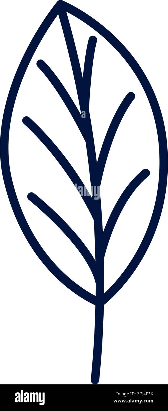 organic leaf design Stock Vector Image & Art - Alamy