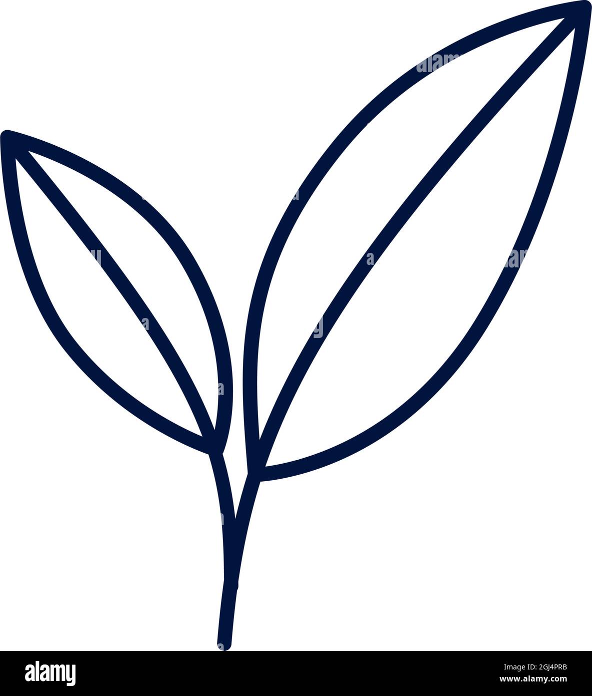 two leaves illustration Stock Vector Image & Art - Alamy