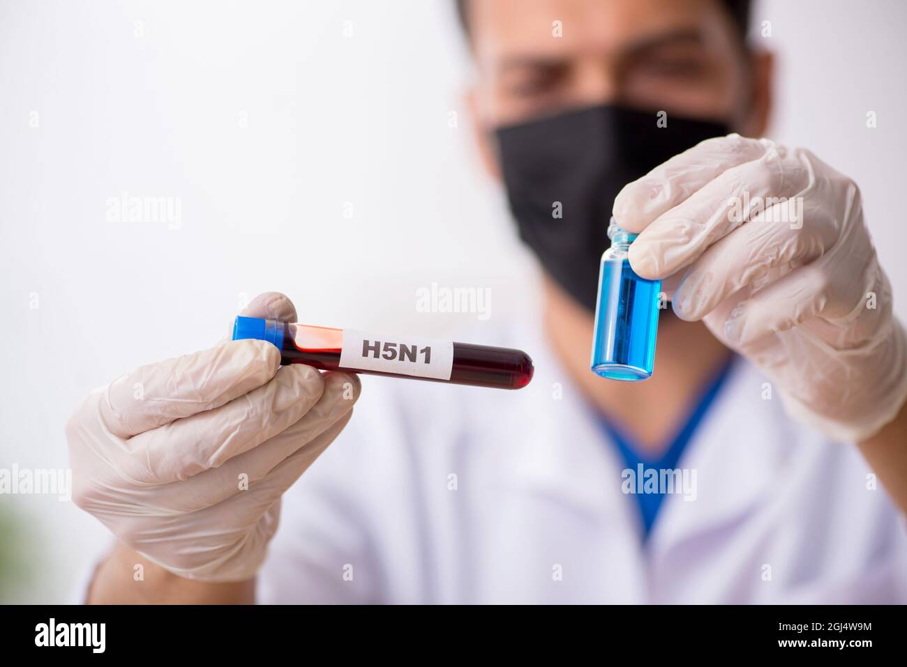 H5n1 test hi-res stock photography and images - Alamy