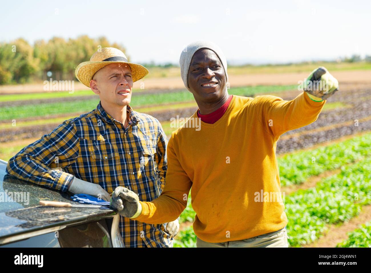 Two male farm workers talking near car on farm field Stock Photo - Alamy