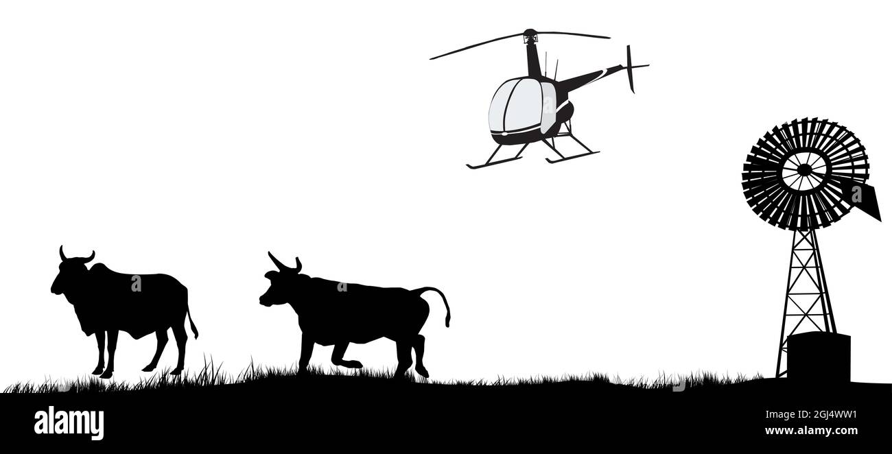 Australia mustering cattle helicopter Stock Vector Images - Alamy