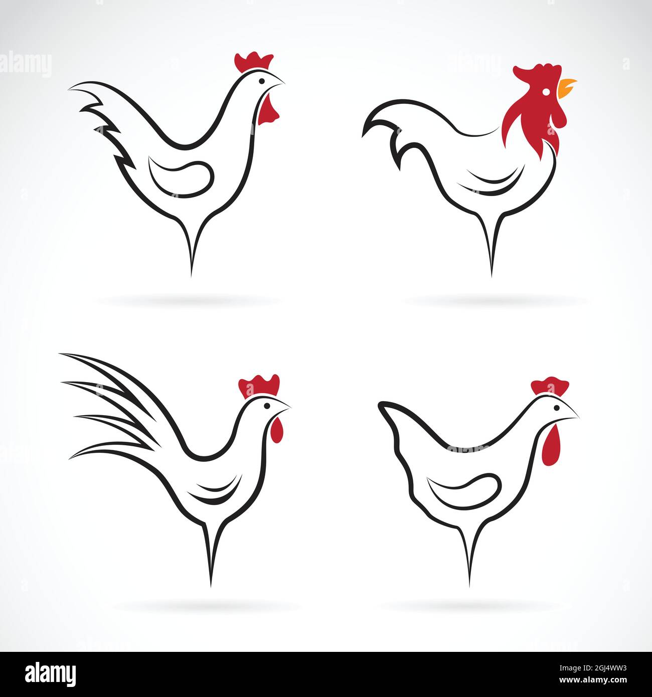 Vector image of chicken design on white background. Easy editable ...