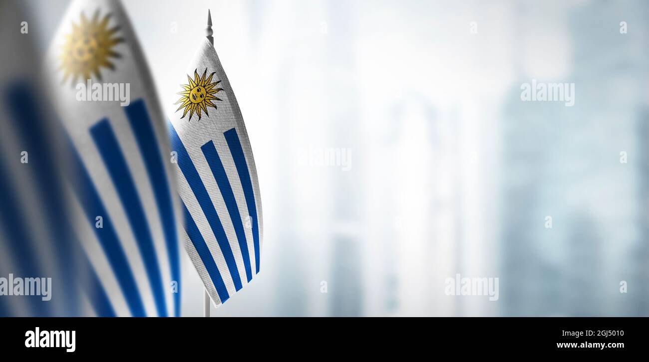 Small flags of Uruguay on a blurry background of the city Stock Photo ...