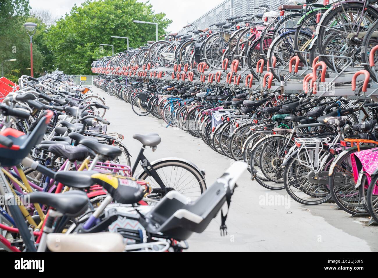 Dutch style bicycle racks two tier high Stock Photo - Alamy