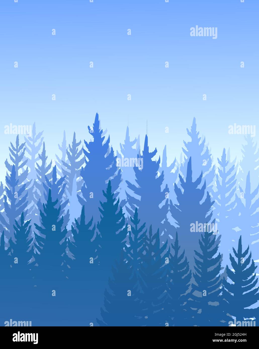 Conifers vector vectors hi-res stock photography and images - Alamy