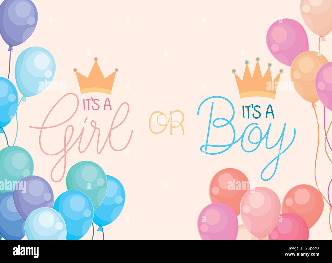 gender reveal design Stock Vector Image & Art - Alamy
