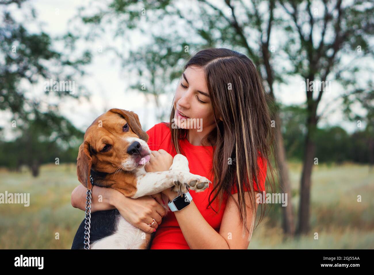 Portrait Caring Young Adult Woman Hug Dog Outside. Purebred Beagle ...
