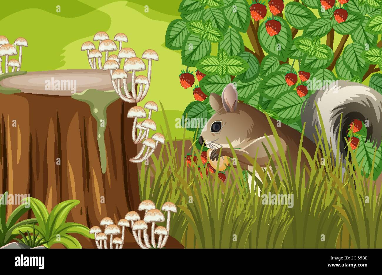 Squirrel hidden in the forest illustration Stock Vector Image & Art - Alamy