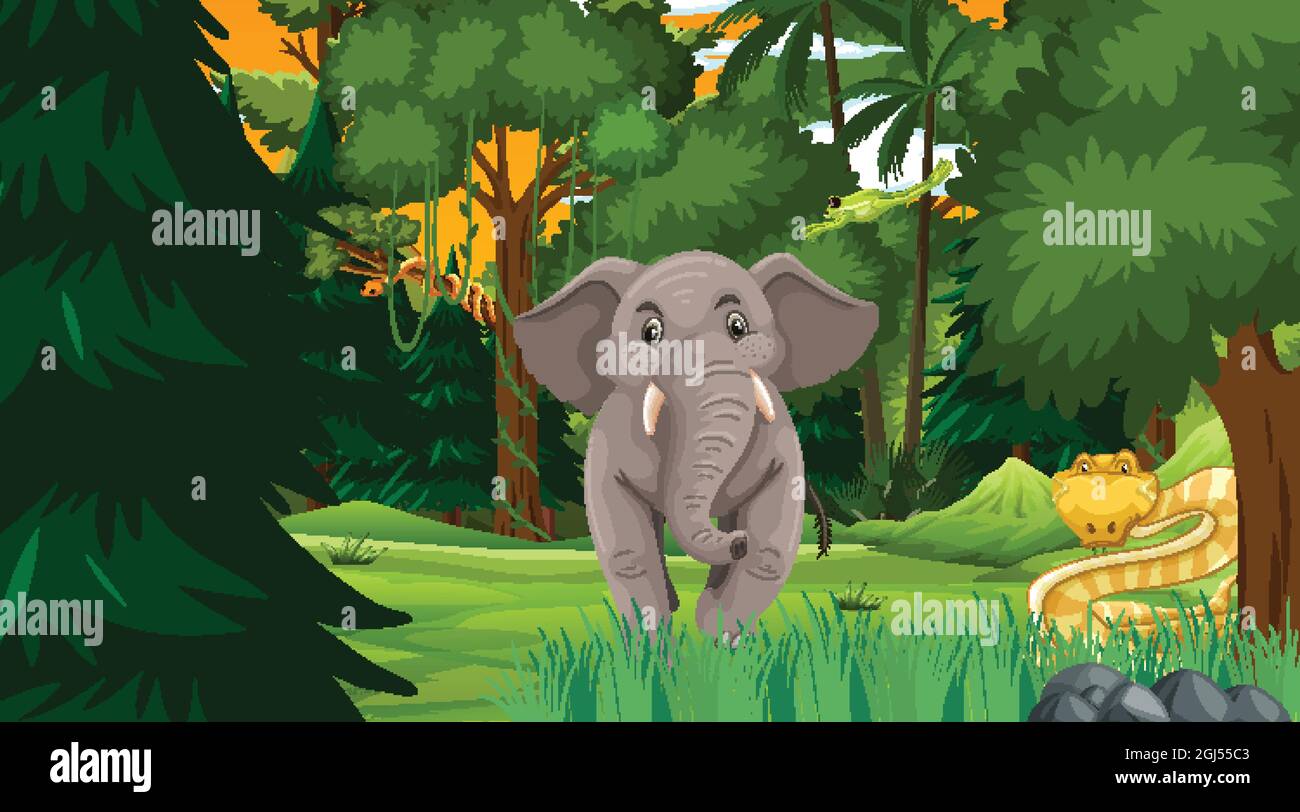 Forest at sunset time scene with different wild animals illustration ...