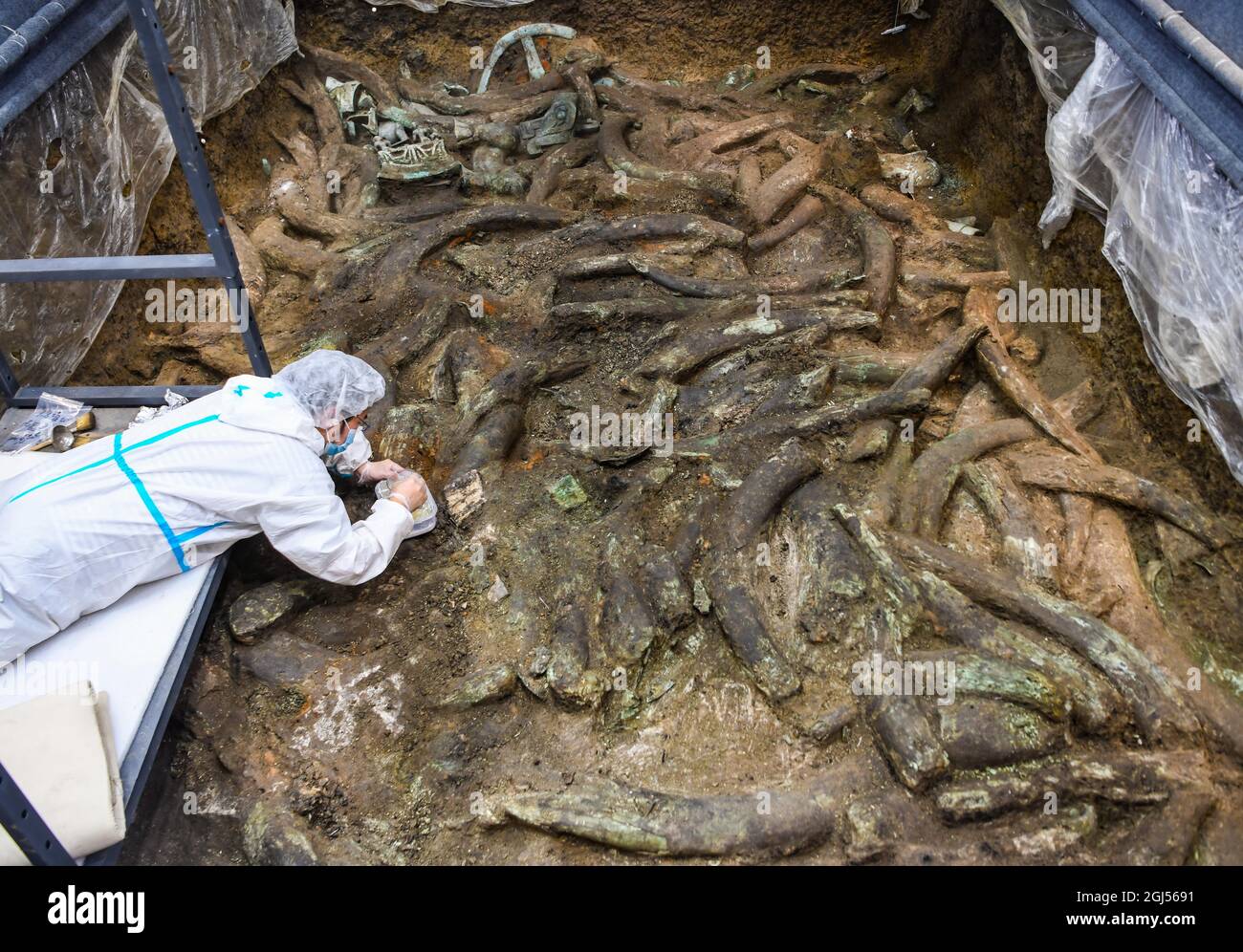 Chengdu. 2nd Sep, 2021. An archaeologist works at the No. 8 sacrificial ...