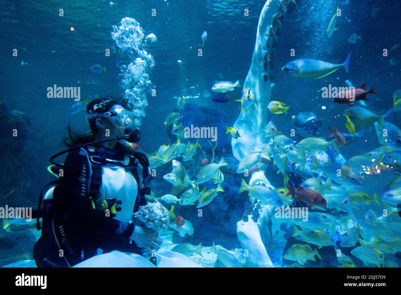 Lisa Huggins during her underwater wedding ceremony at Bear Grylls ...
