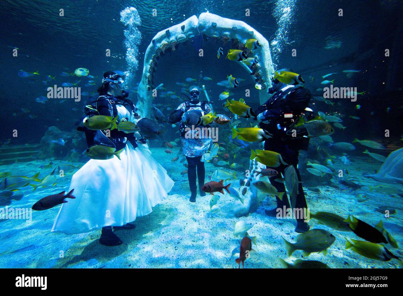 Lisa Huggins and Chris Jackson during their underwater wedding ceremony ...