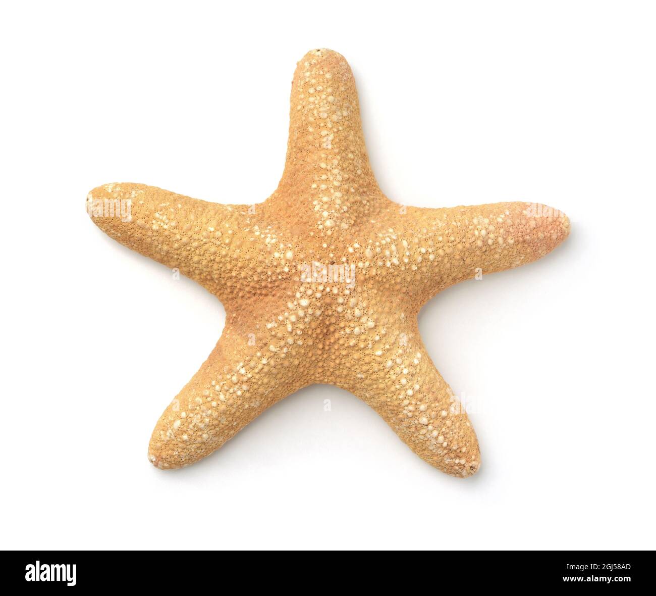 Sea ocean view design Cut Out Stock Images & Pictures - Alamy