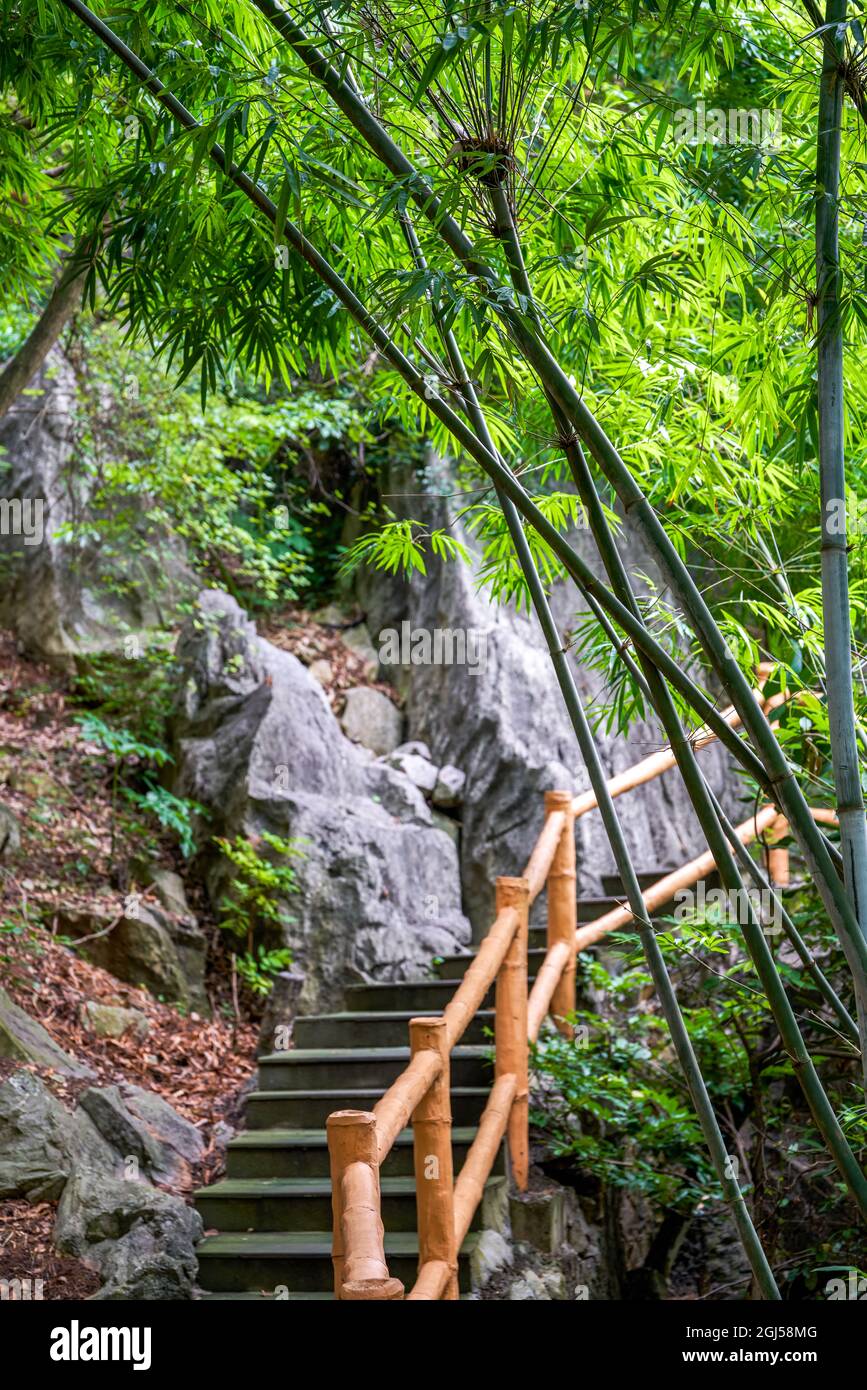 Uphill walking path of a big mountain in the park Stock Photo - Alamy
