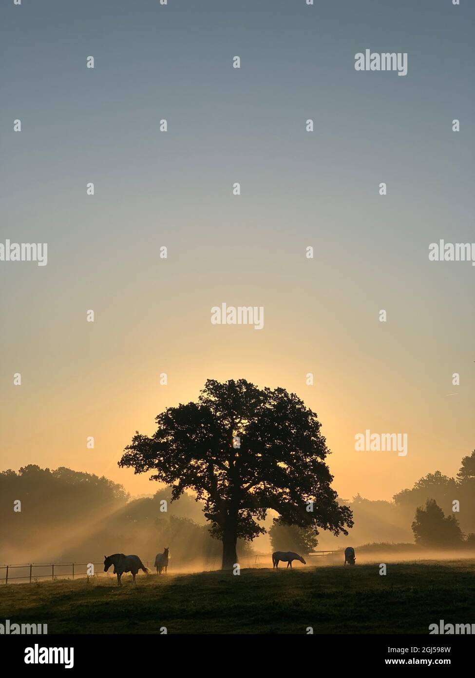 early morning sun Stock Photo - Alamy