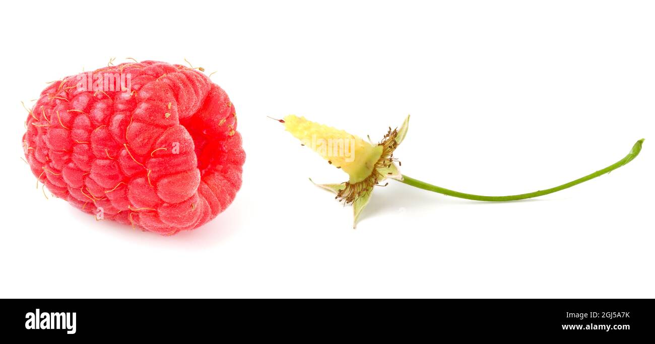 Fieldsweet hi-res stock photography and images - Alamy