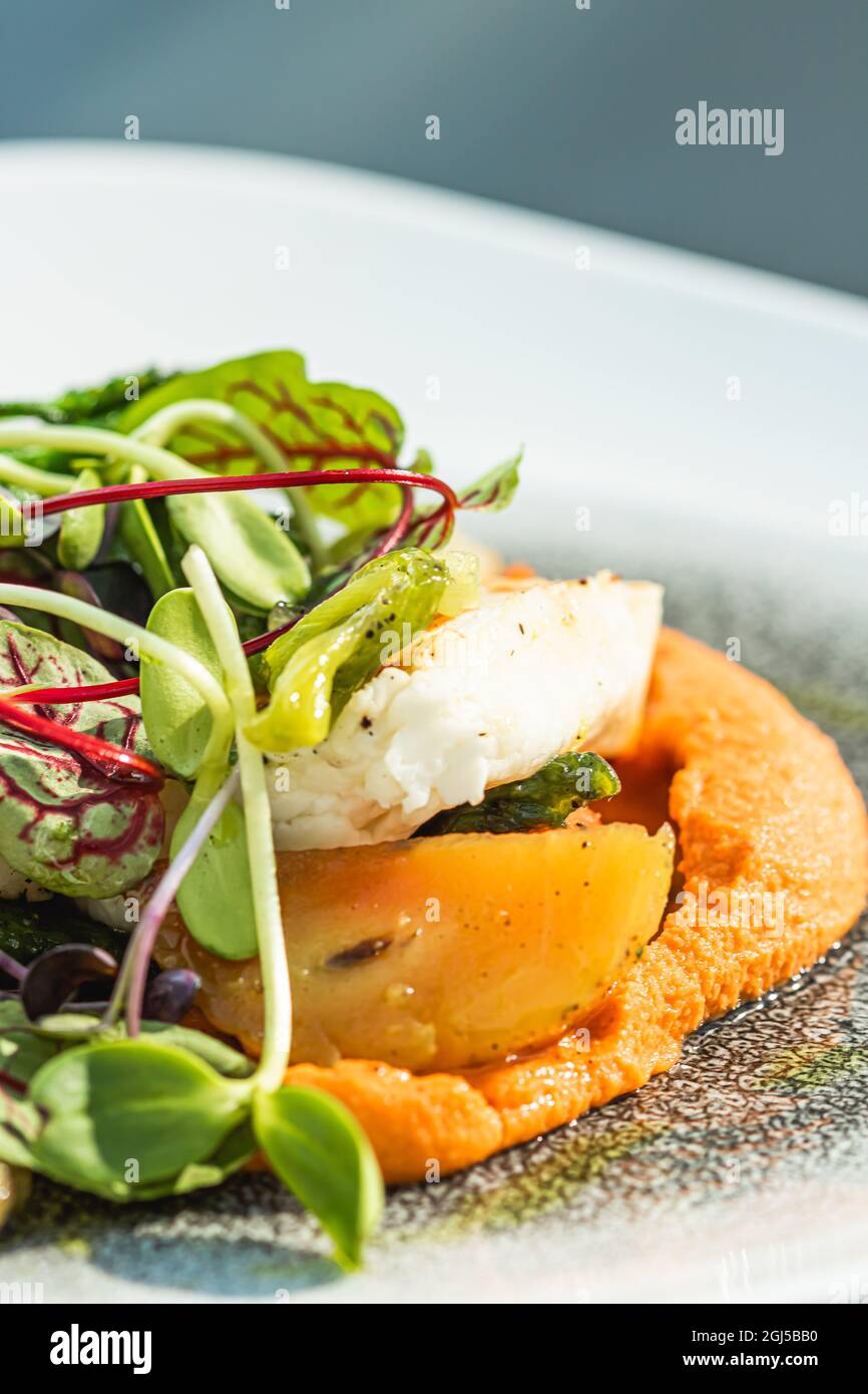 Healthy recipe, organic food and vegetarian salad menu in luxury ...