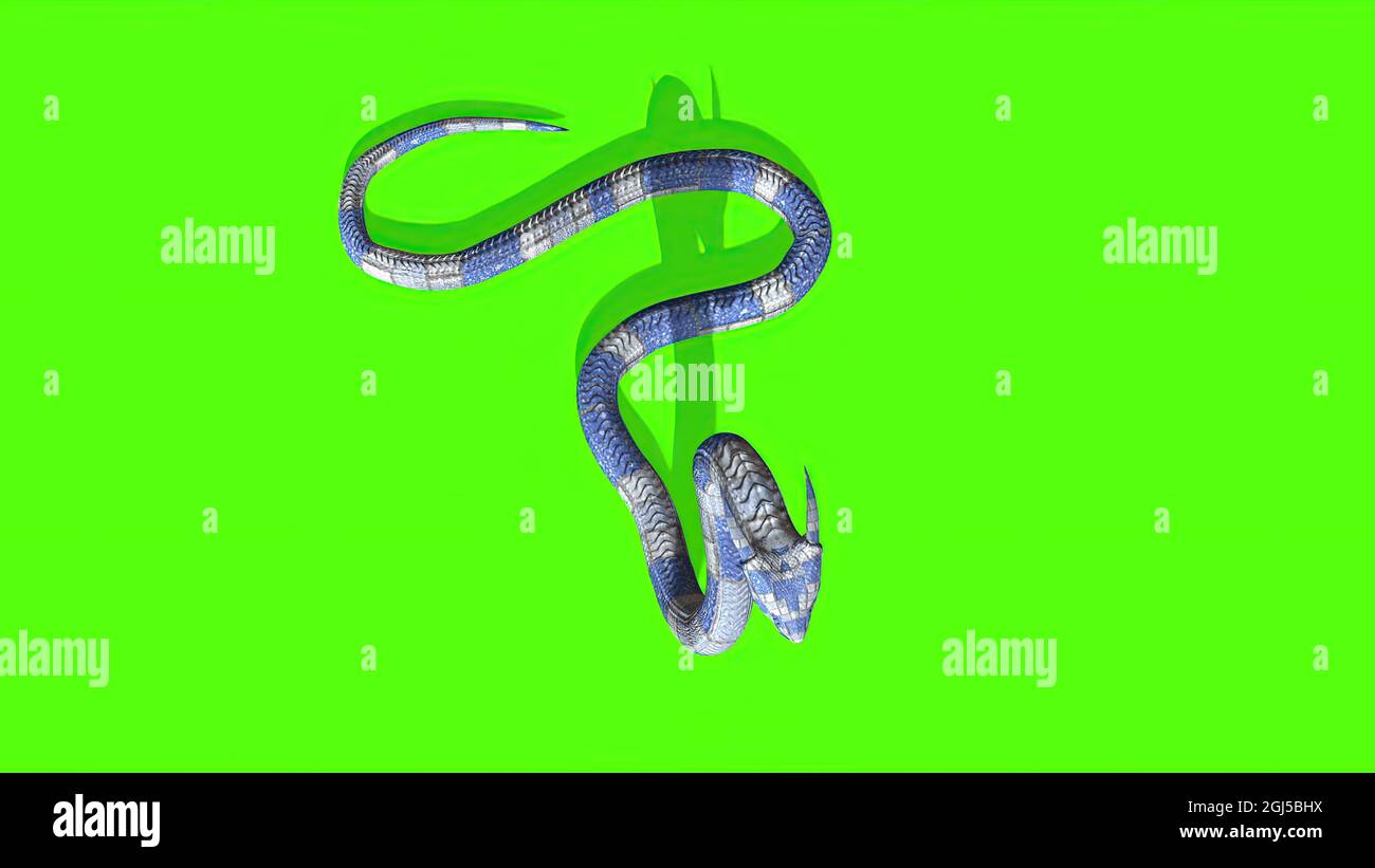 3d illustration - Snake on a Green Screen - background Stock Photo - Alamy