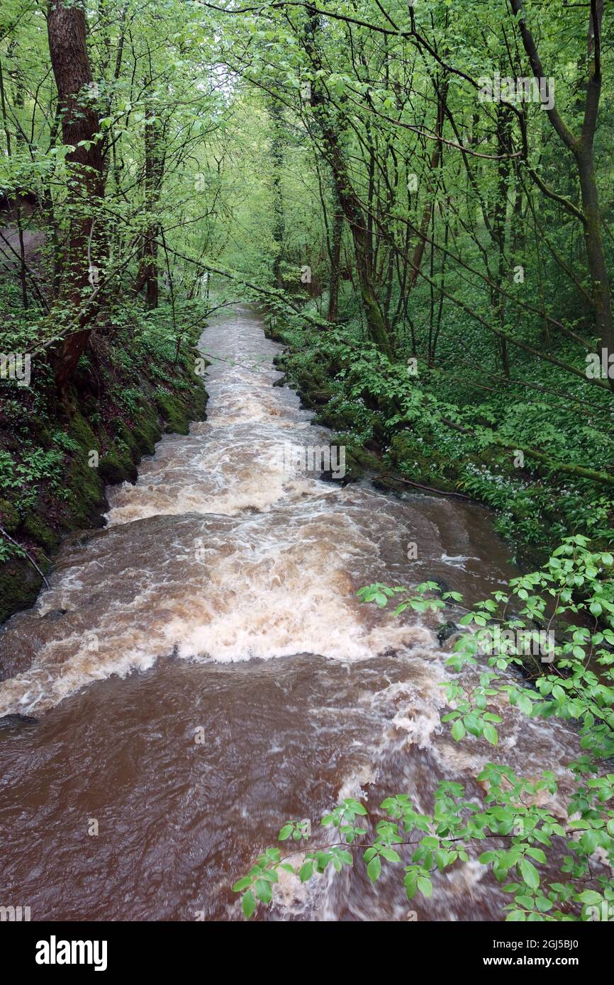 Beck river water riverbank hi-res stock photography and images - Alamy