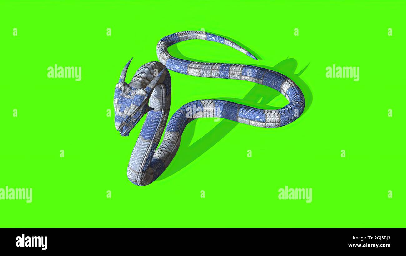3d illustration - Snake on a Green Screen - background Stock Photo - Alamy