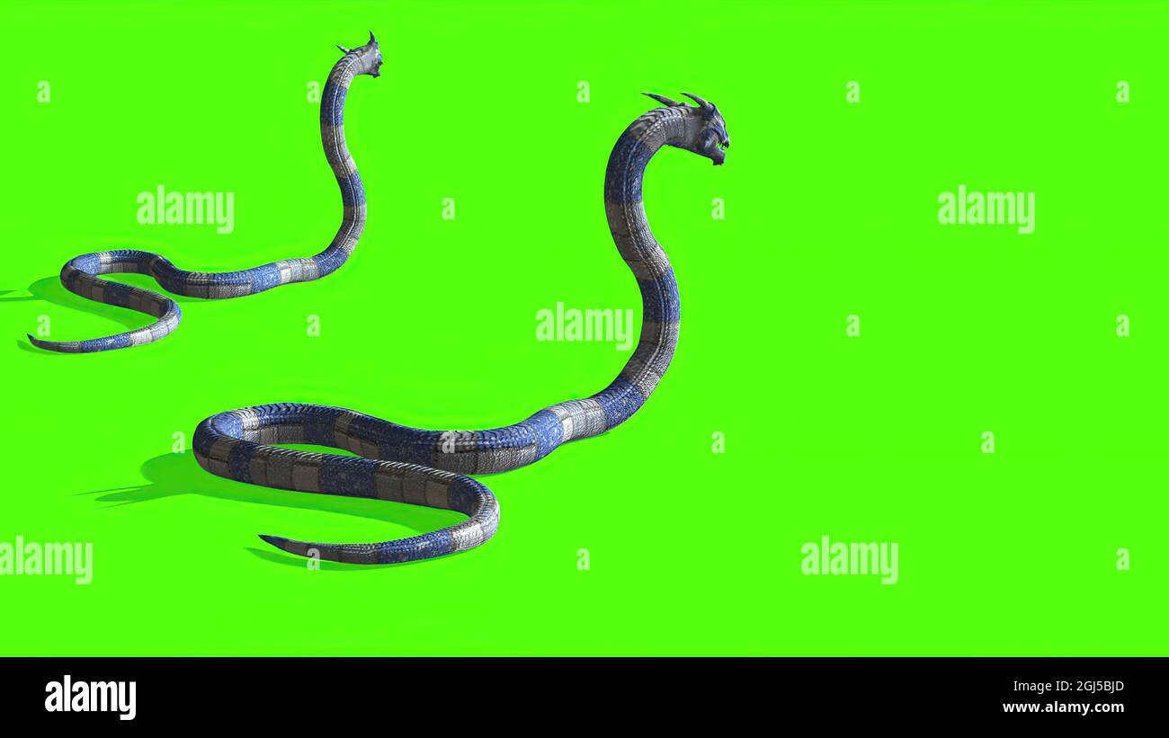 3d illustration - Snake on a Green Screen - background Stock Photo - Alamy