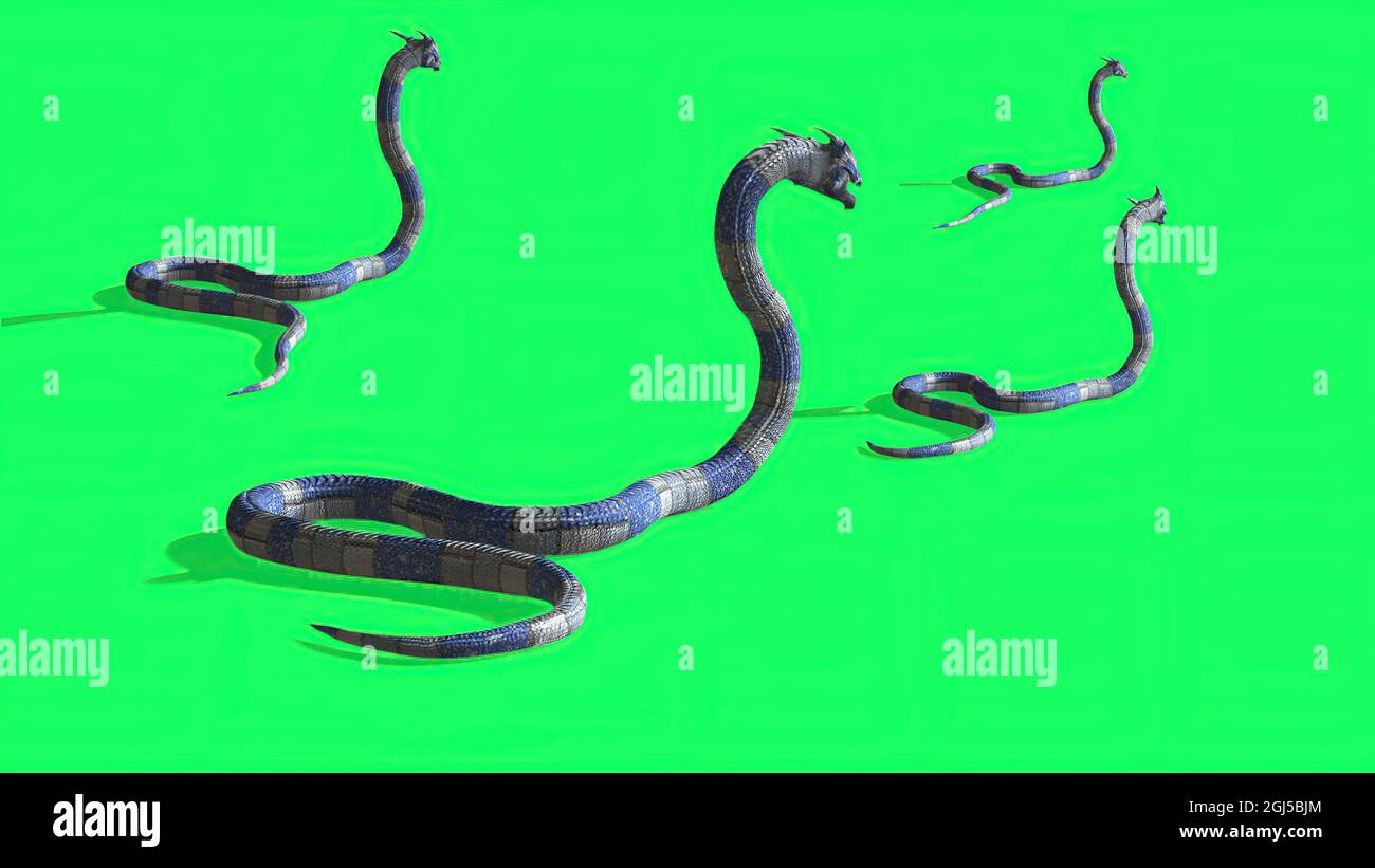 3d illustration - Snake on a Green Screen - background Stock Photo - Alamy