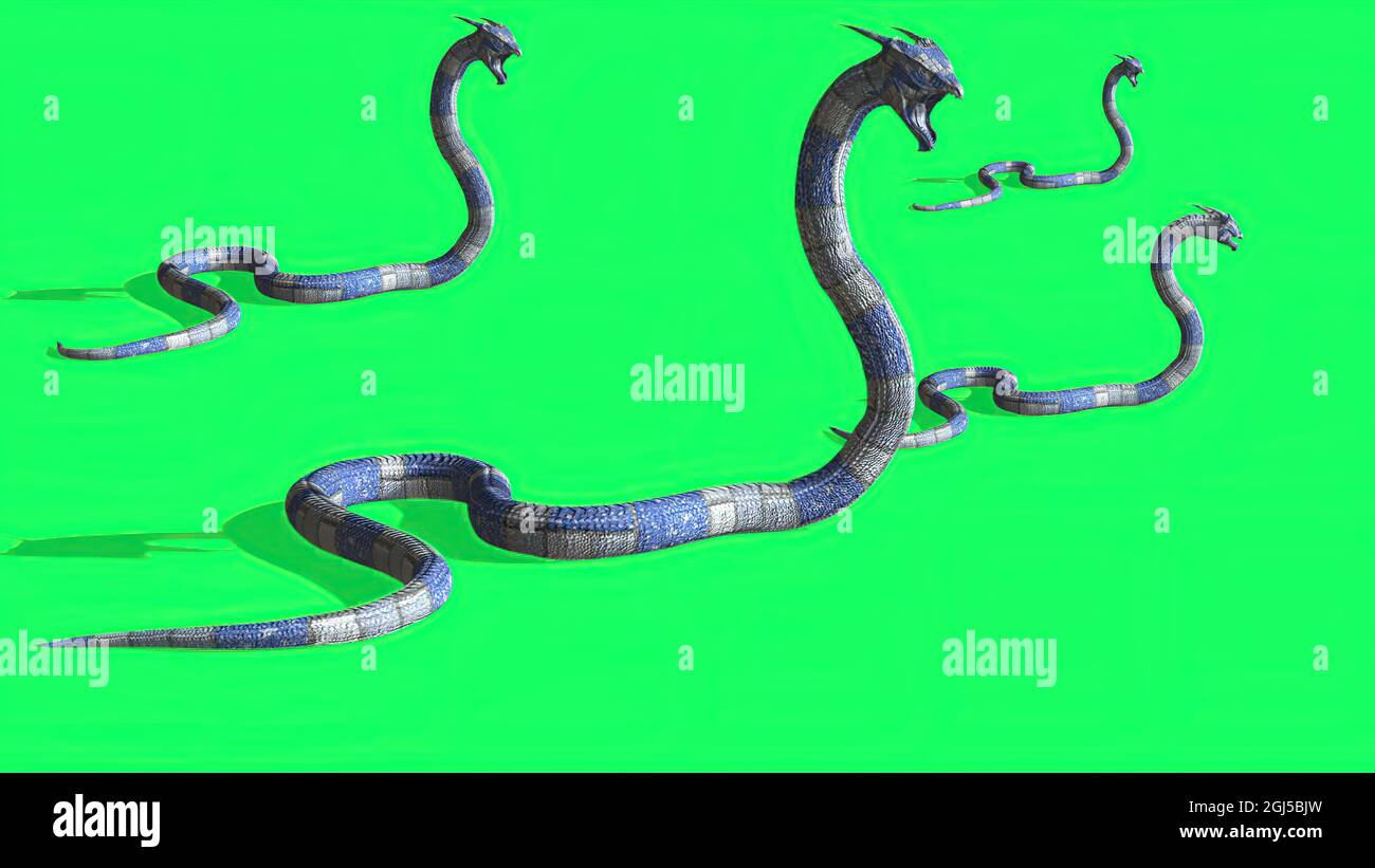 3d illustration - Snake on a Green Screen - background Stock Photo - Alamy