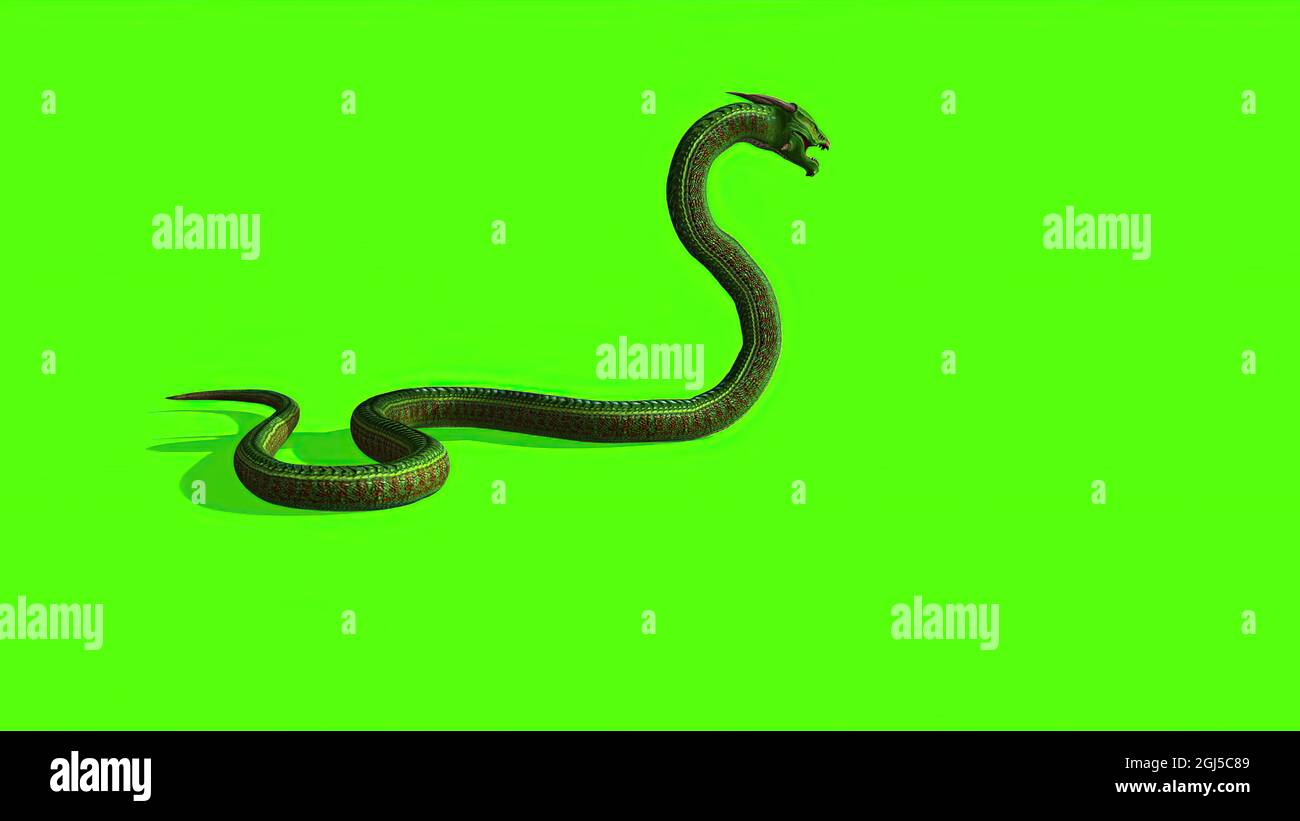 3d illustration - Snake on a Green Screen - background Stock Photo - Alamy