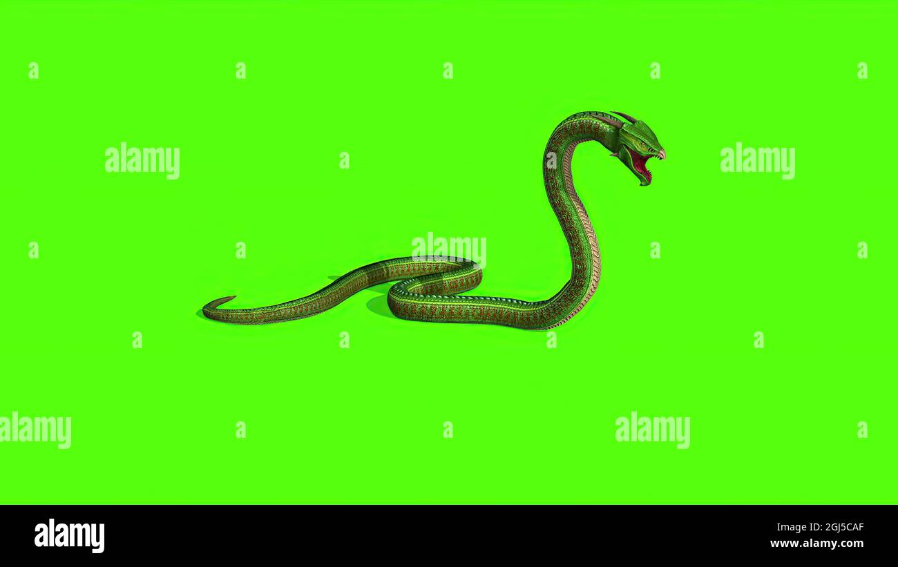3d illustration - Snake on a Green Screen - background Stock Photo - Alamy