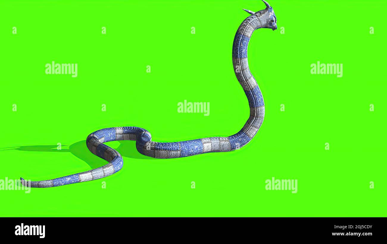 3d illustration - Snake on a Green Screen - background Stock Photo - Alamy