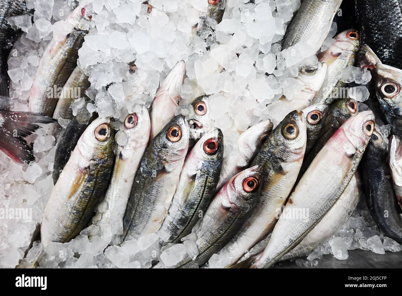 Fresh fish on ice Stock Photo - Alamy