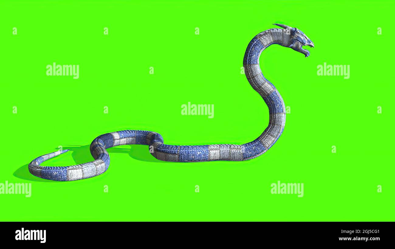 3d illustration - Snake on a Green Screen - background Stock Photo - Alamy