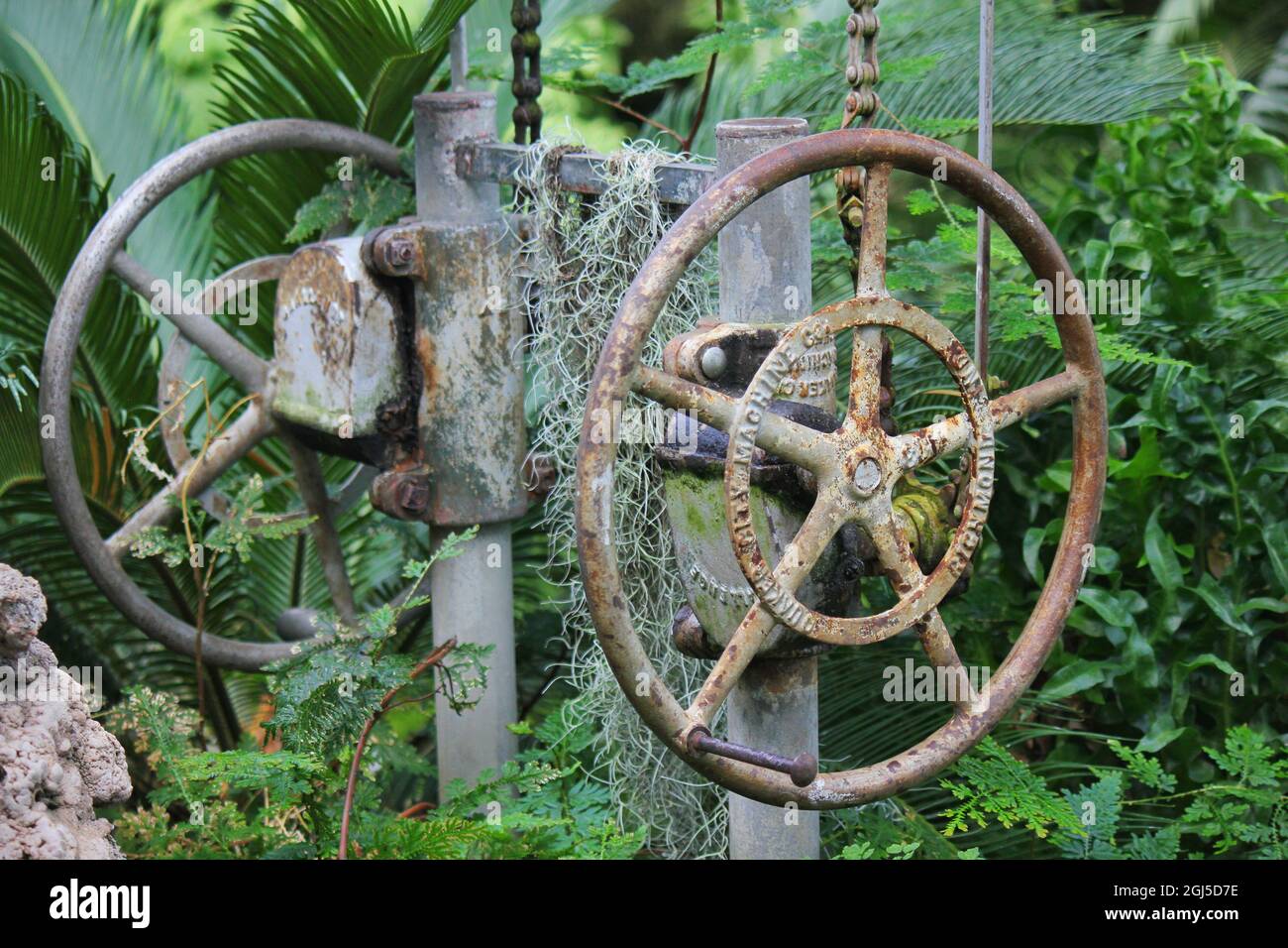 Old hand crank wheel rusting in the sunny summer meadow Stock Photo - Alamy