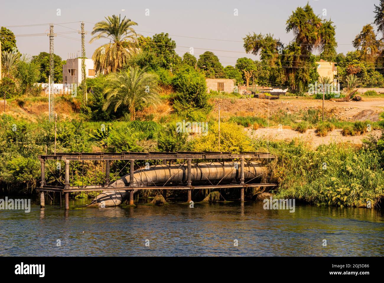 Egyptian Basin Irrigation