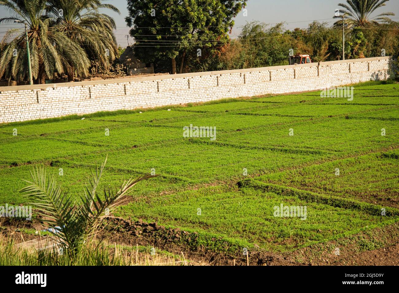 Nile basin irrigation hi-res stock photography and images - Alamy