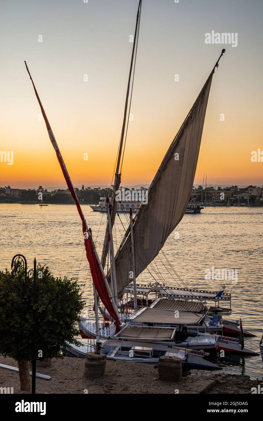 Egypt, Luxor (Thebes), view of Nile River and felucca masts and sails ...